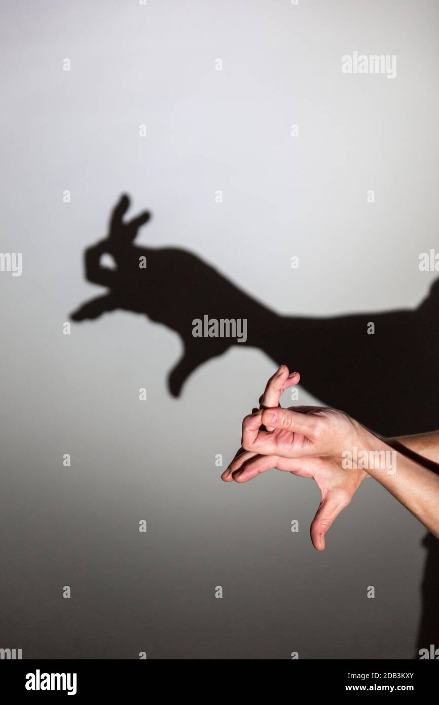 Shadow hands puppets hi-res stock photography and images - Alamy