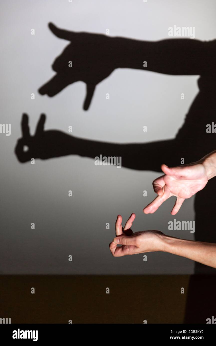 play shadow projected on a white screen. the person's hands shape a ...