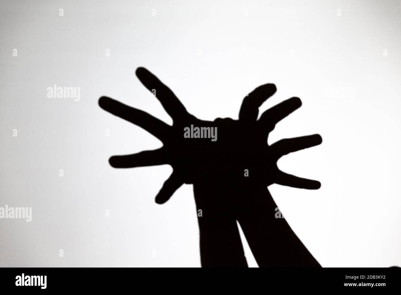 play shadow projected on a white screen. the person's hands shape a ...