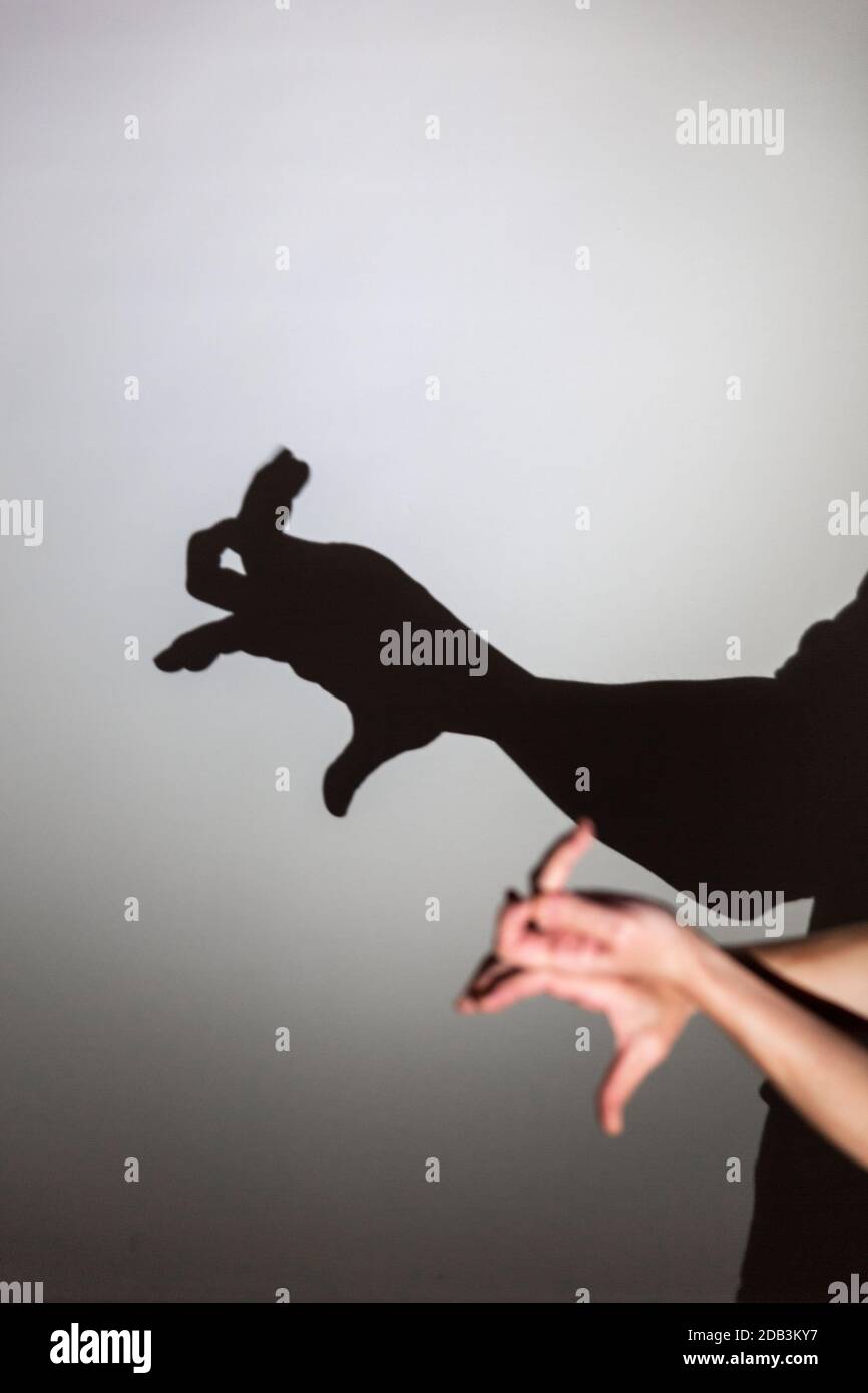 People playing chinese shadow puppet hi-res stock photography and ...