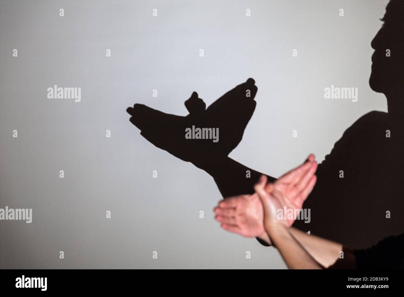 Shadow puppets hands hi-res stock photography and images - Alamy