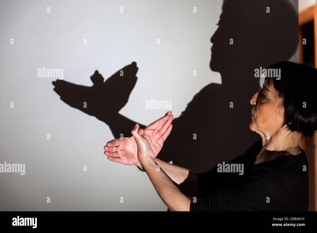 play shadow projected on a white screen. the person's hands shape a ...