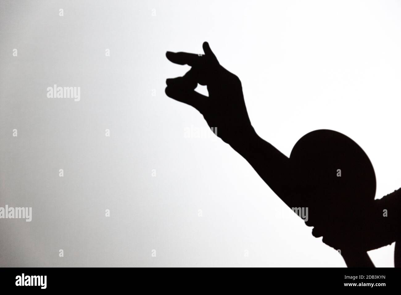 play shadow projected on a white screen. the person's hands and a plate ...