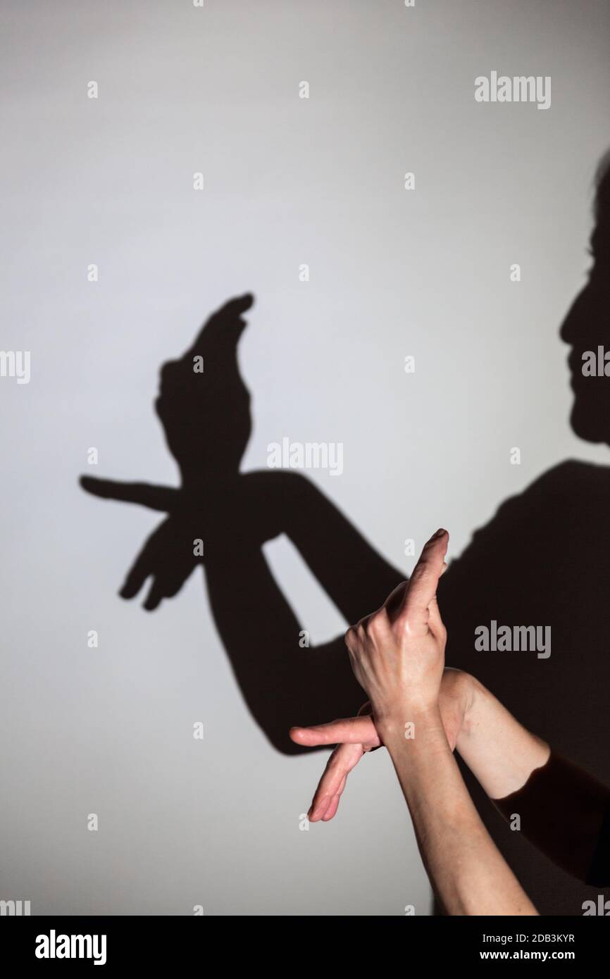 Shadow hands puppets hi-res stock photography and images - Alamy