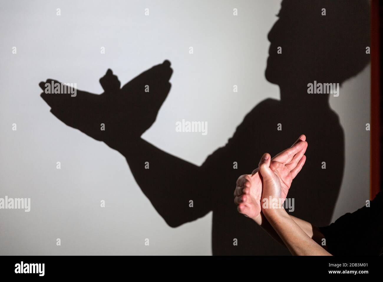 Shadow hands puppets hi-res stock photography and images - Alamy