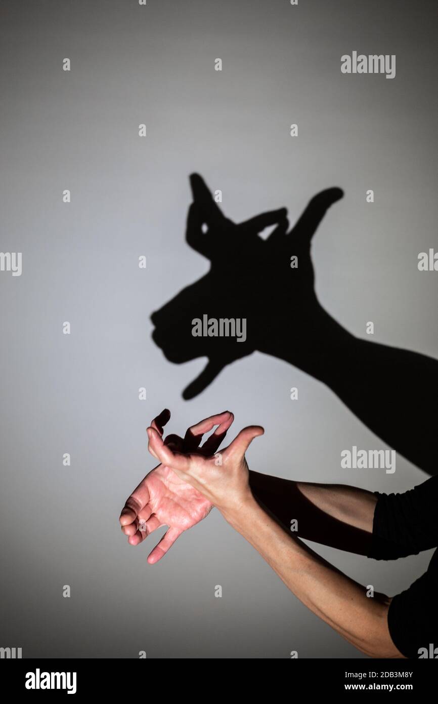 play shadow projected on a white screen. play shadow projected on a ...