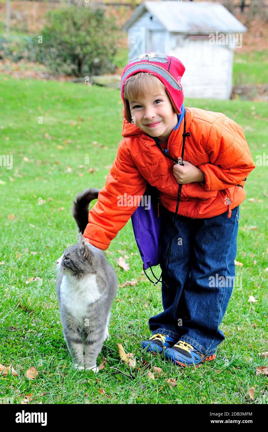 Boy stroking petting cat hi-res stock photography and images - Alamy