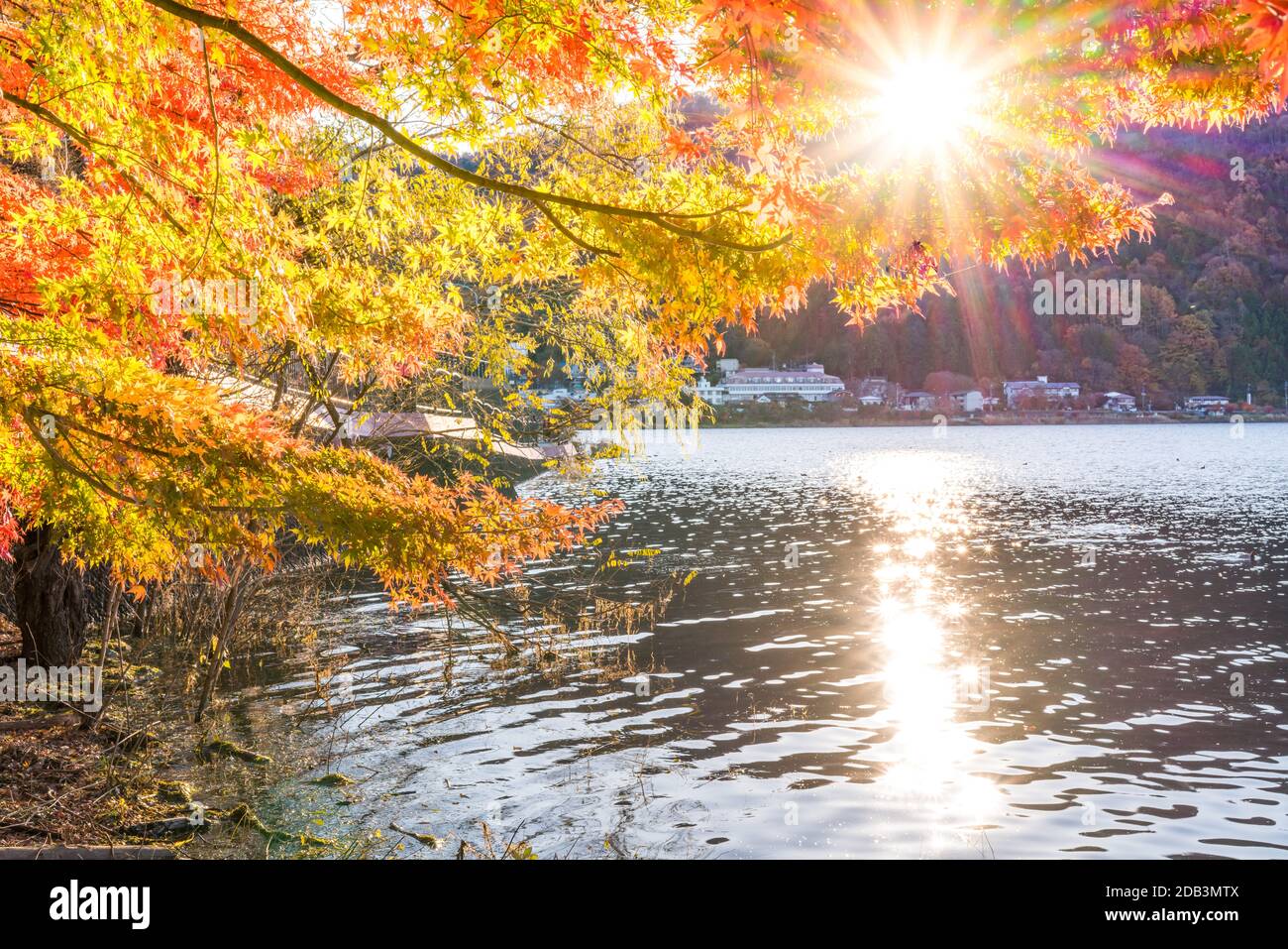 Colorful Autumn in Mount Fuji, Japan - Lake Kawaguchiko is one of the ...