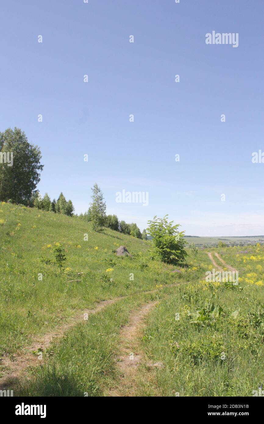 Summer rural landscape Stock Photo - Alamy