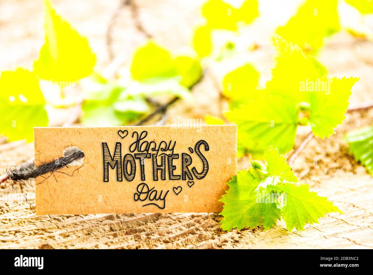 One Label WIth English Calligraphy Happy Mothers Day. Green Tree Branch ...