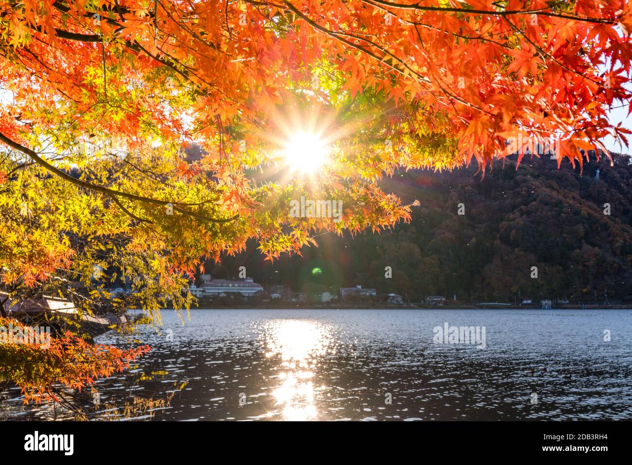 Colorful Autumn in Mount Fuji, Japan - Lake Kawaguchiko is one of the ...