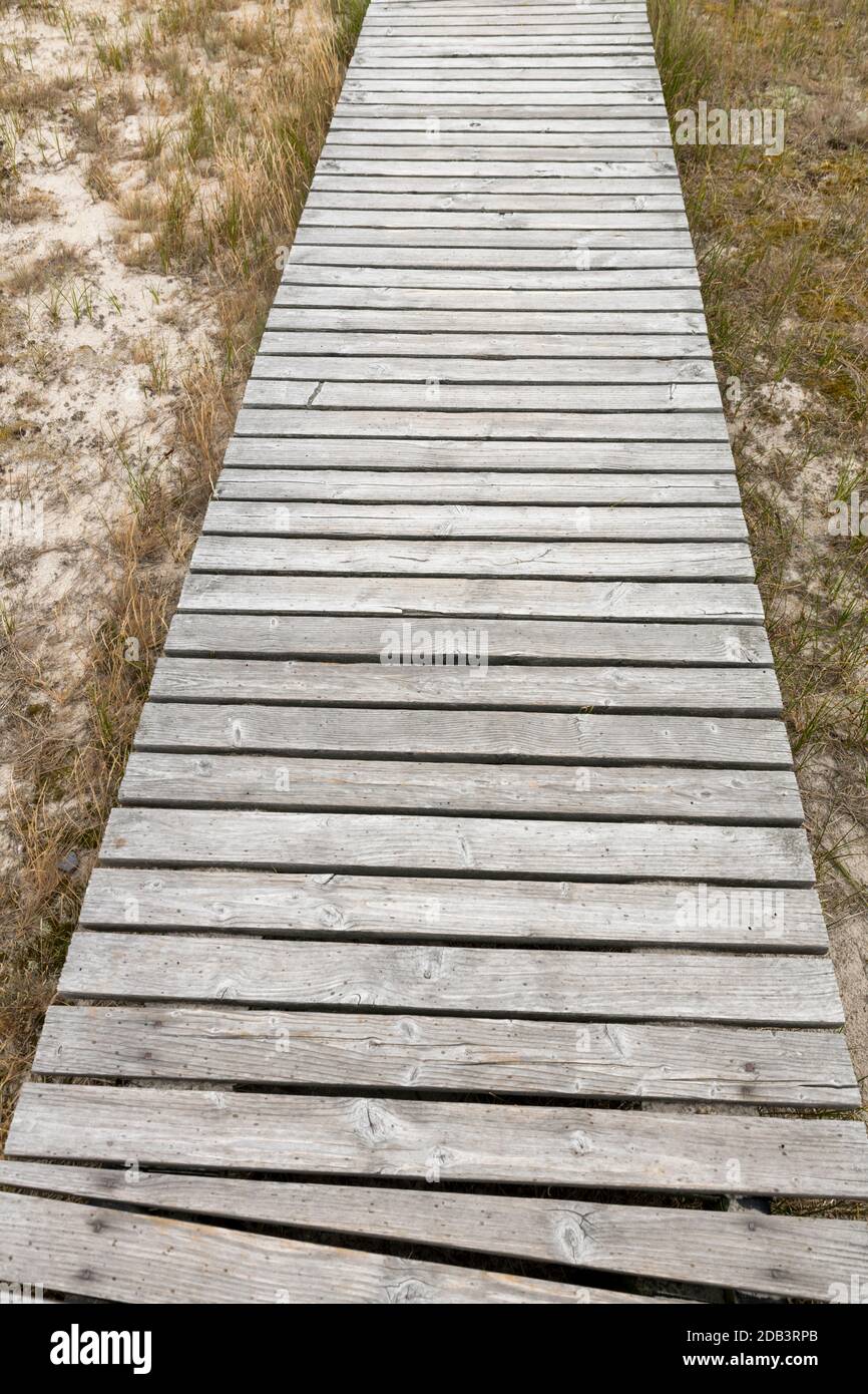 Wood jetty through dunes in the nature reserve on the Baltic coast with ...