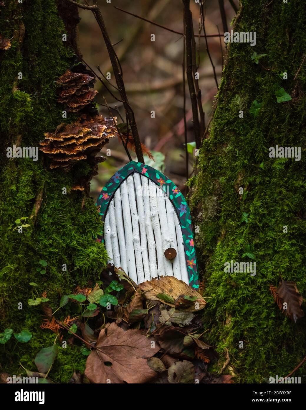 Moss door hi-res stock photography and images - Alamy