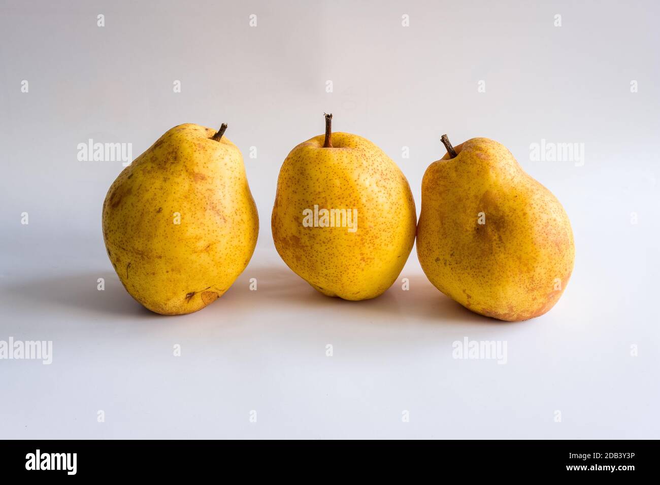 Still life with three yellow pears on white background Stock Photo - Alamy