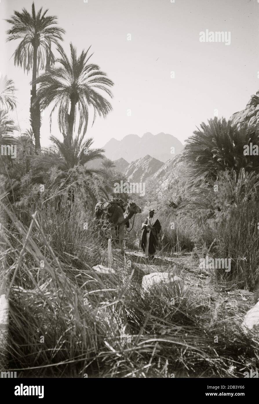 To Sinai via the desert. Wady Feiran and Jebel Serbal Stock Photo - Alamy