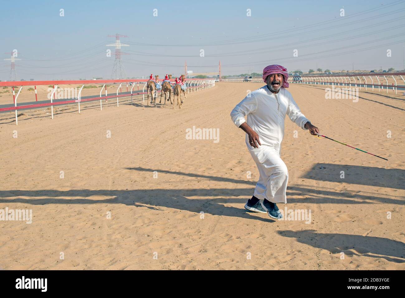 United Arab Emirates / Al Dhaid / Entrance of the Al Dhaid Camel Race ...