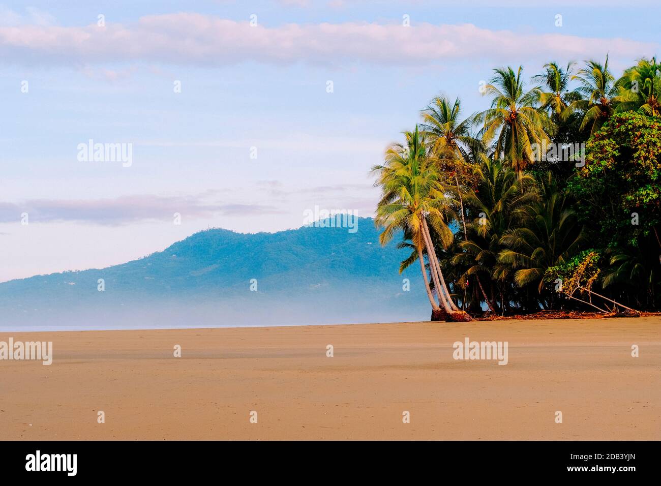 Coastal beach of Marino Ballena National Park, Uvita, Costa Rica Stock ...