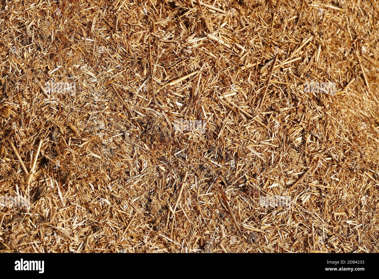 rotten straw and wastes, environmental pollution Stock Photo - Alamy