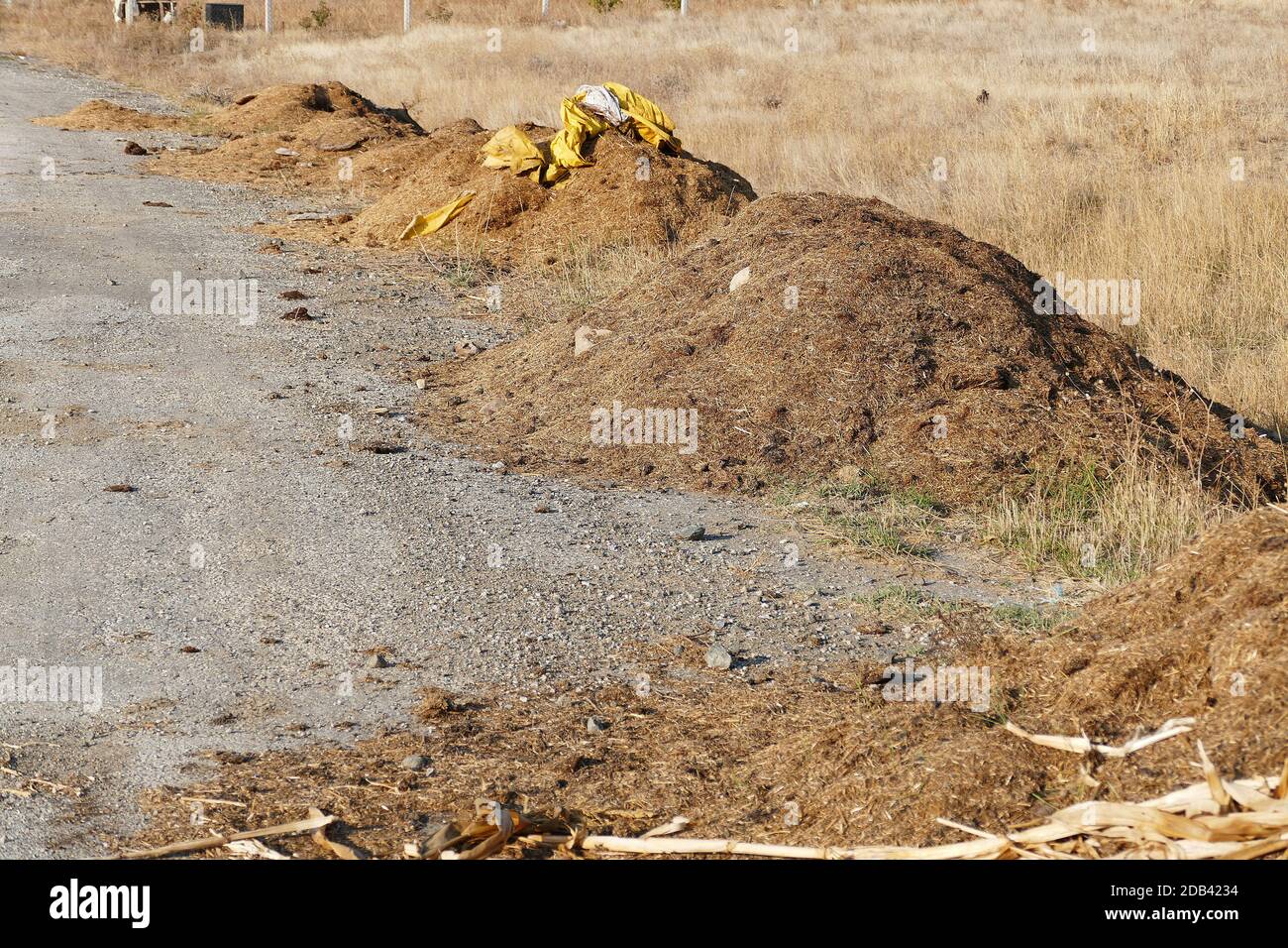 rotten straw and wastes, environmental pollution Stock Photo - Alamy
