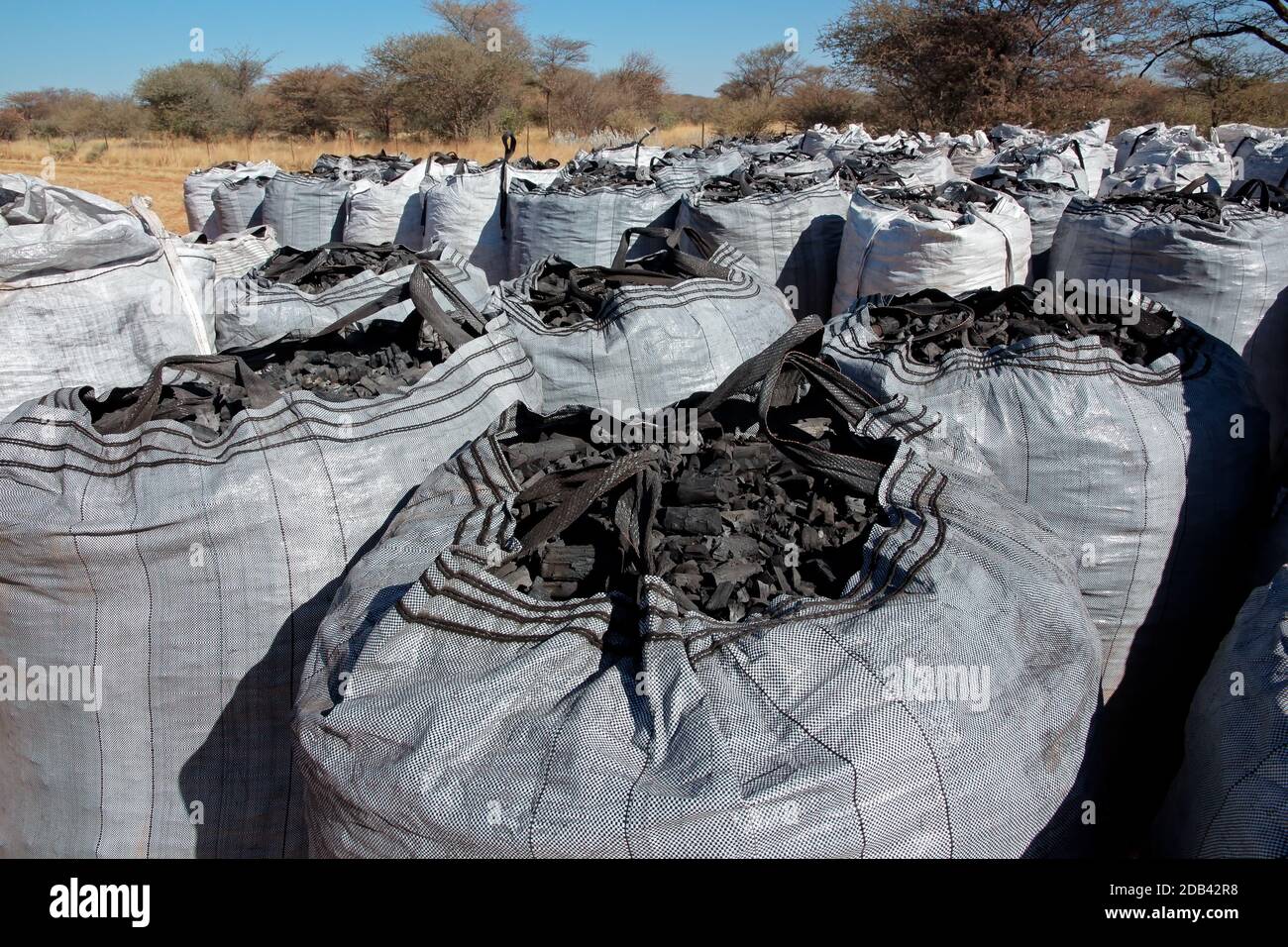 Bags of charcoal hi-res stock photography and images - Alamy