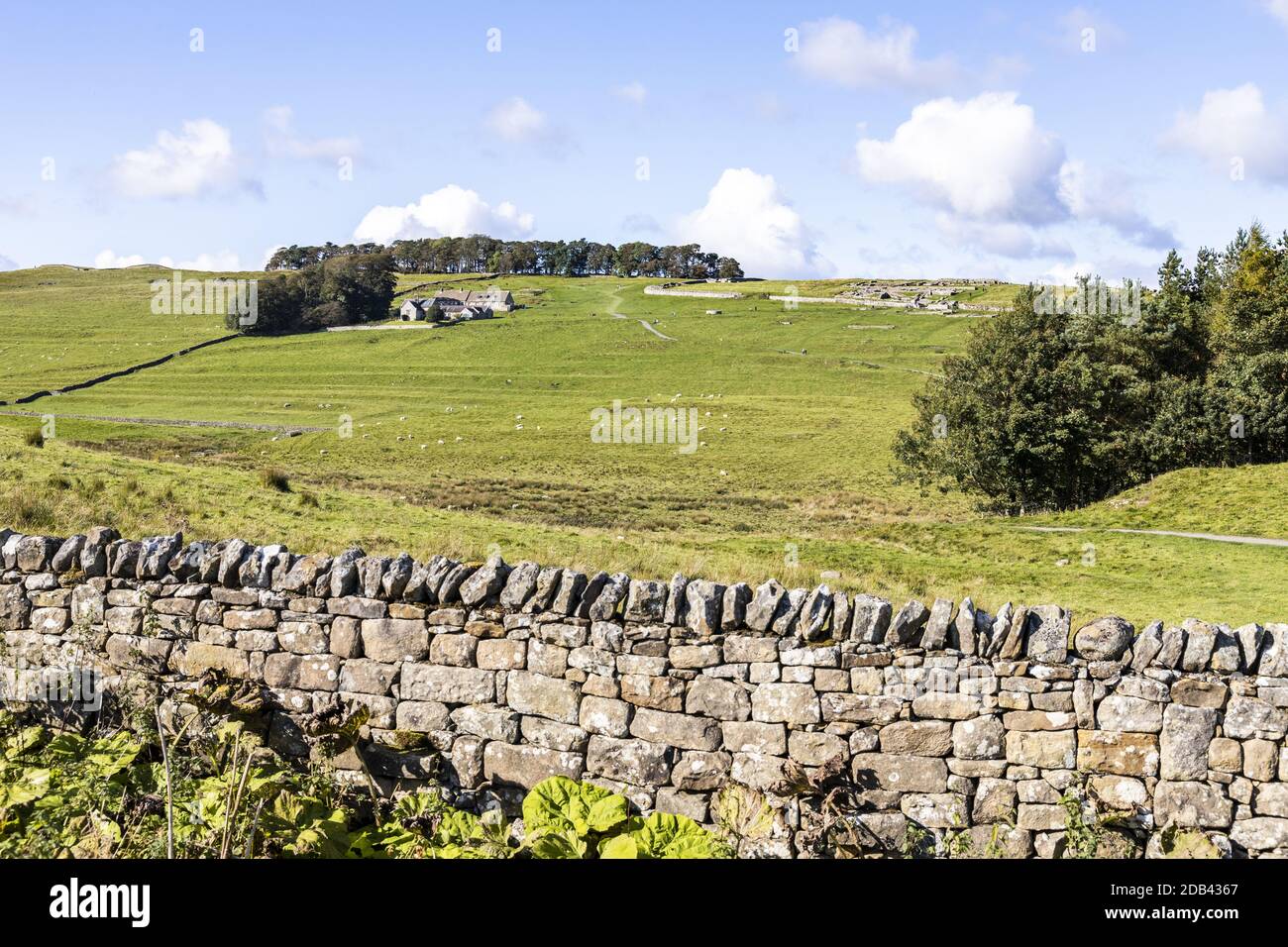 Vercovicium Roman Fort and Museum at Housesteads on Hadrians Wall near ...