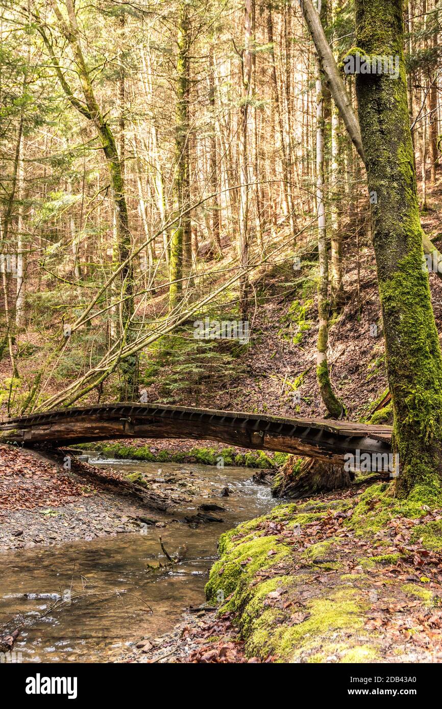 Little bridge across the creek down the canyon in the middle of the ...