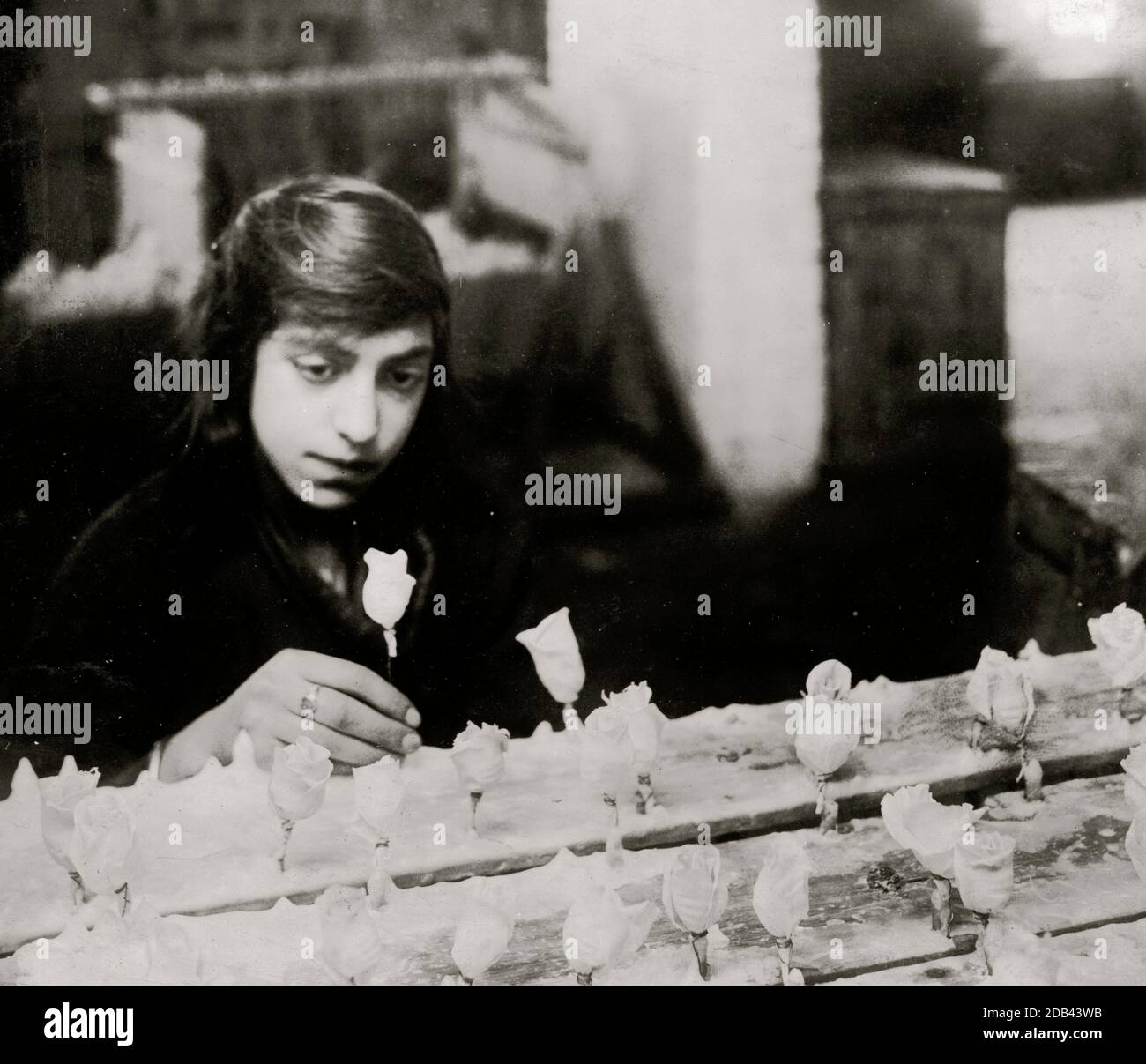 Sadie Singer, 15 years old, racking flowers at the Beston Floral Supply ...