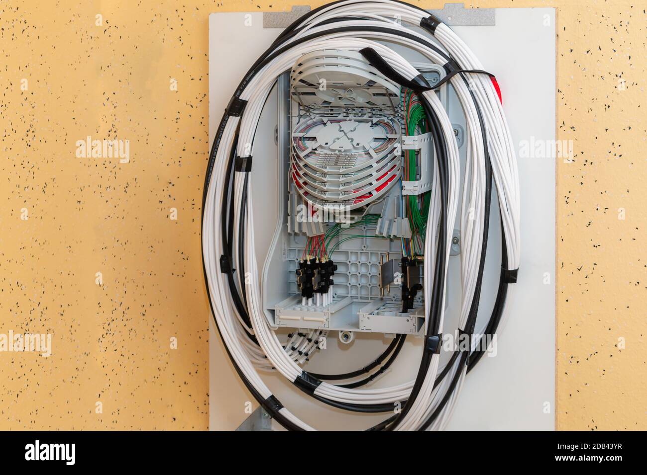 Fiber Distribution Box. PLC Splitter Ftth Terminal Box Stock Photo - Alamy