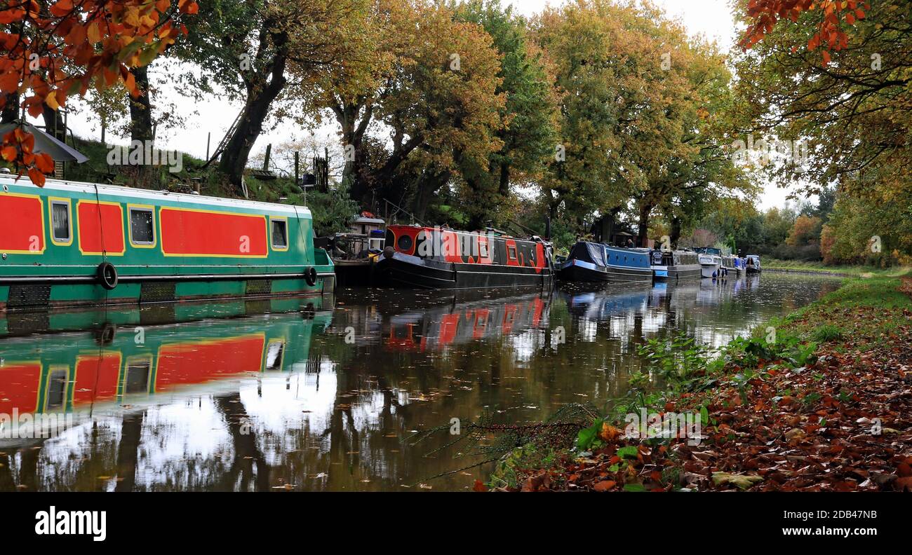 A line of colourful moored canal boats at Adlington on a autumn day ...