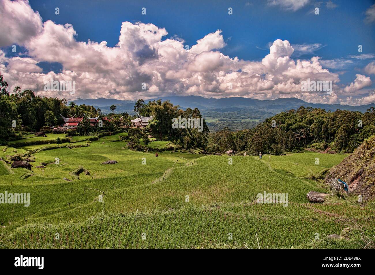Rice fields and village in Batutumonga, Tana Toraja, South Sulawesi ...