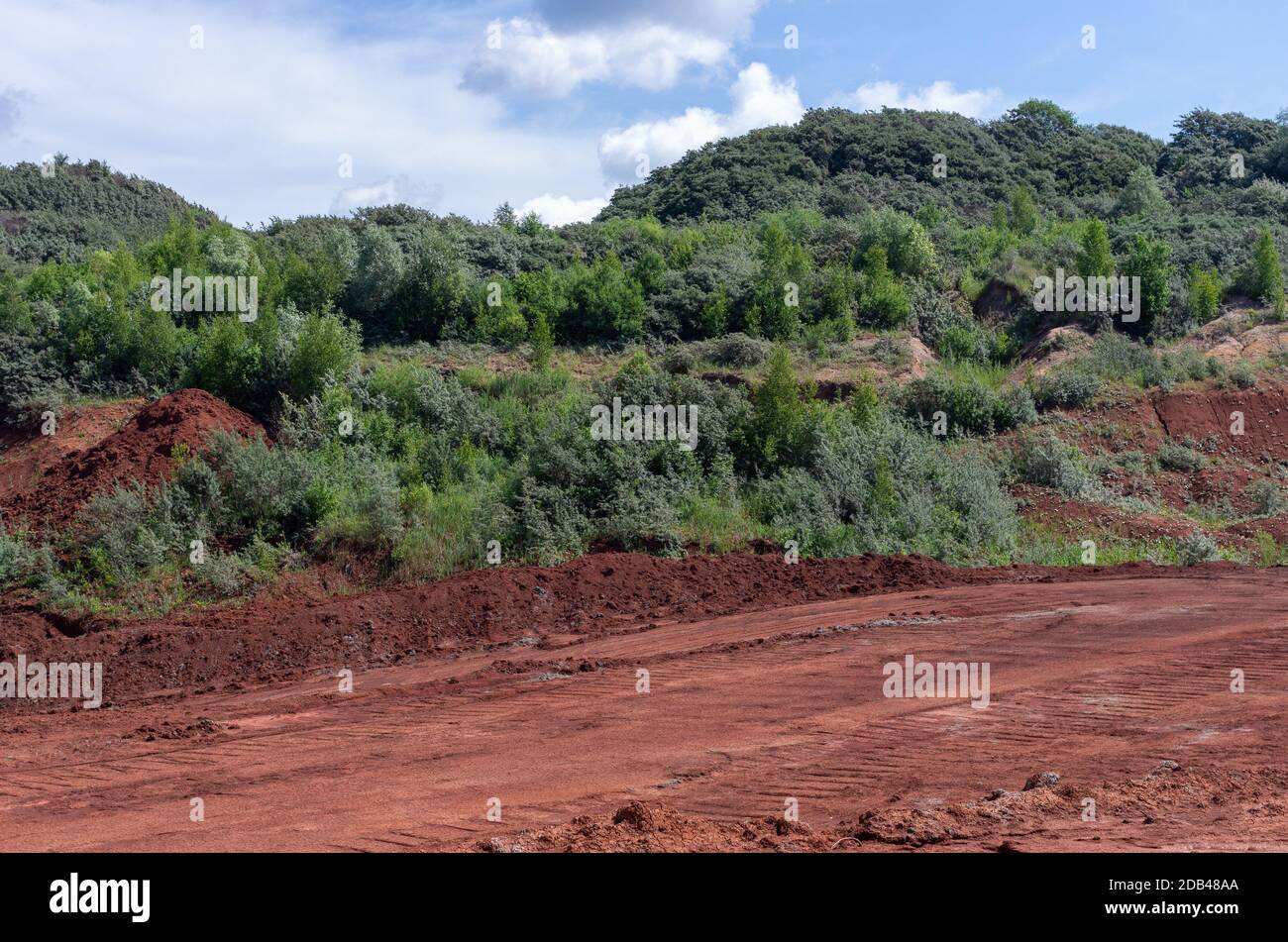 City Papile, Lithuania. Clay career near village Saltiskiai. Nature ...