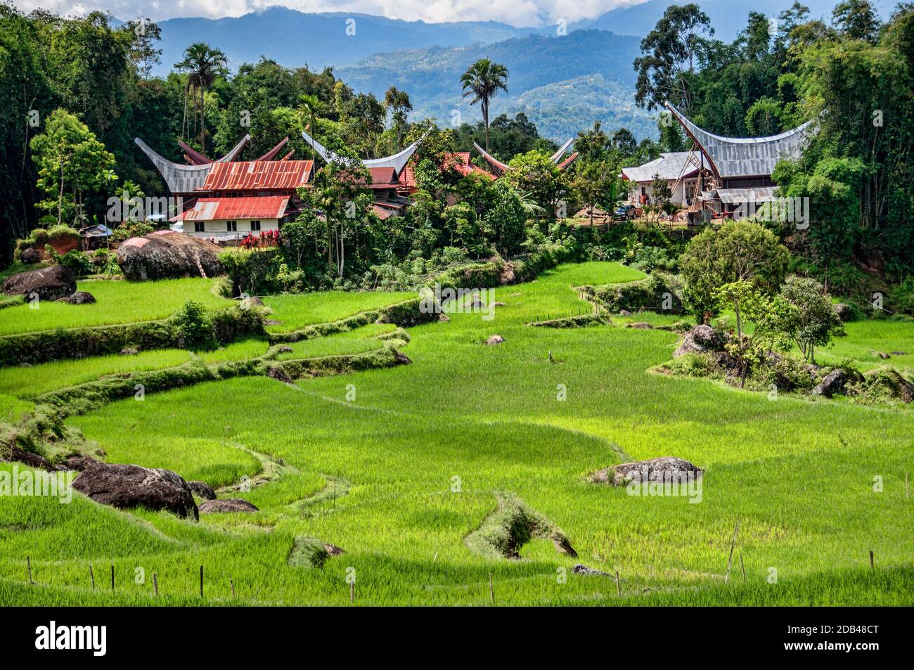 Rice fields and village in Batutumonga, Tana Toraja, South Sulawesi ...