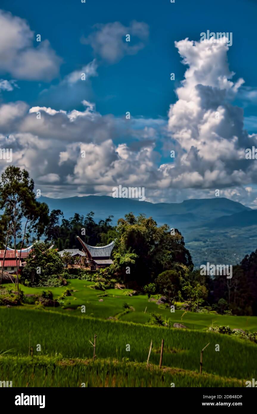 Rice fields and village in Batutumonga, Tana Toraja, South Sulawesi ...
