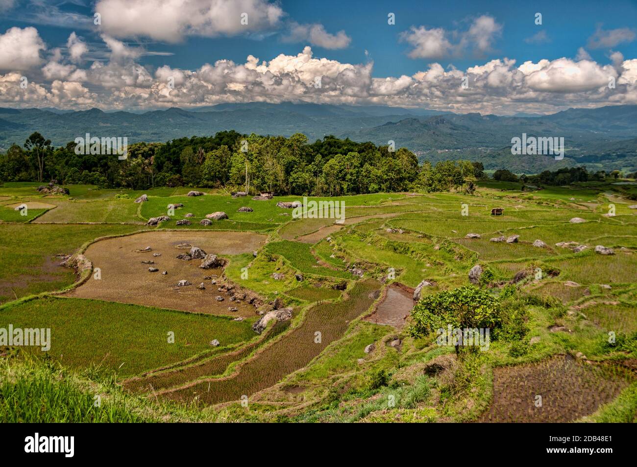 Rice fields and village in Batutumonga, Tana Toraja, South Sulawesi ...