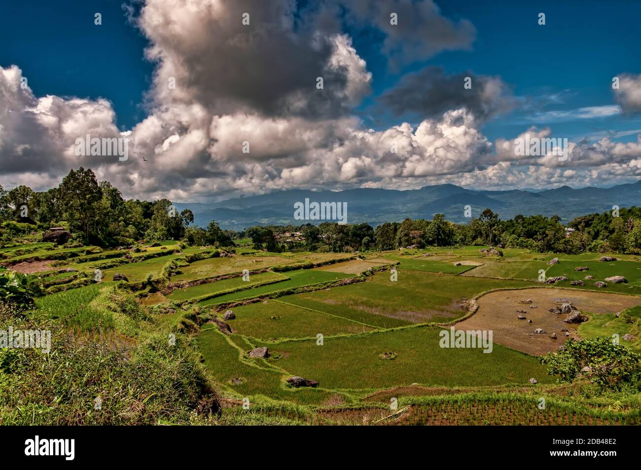 Rice fields and village in Batutumonga, Tana Toraja, South Sulawesi ...