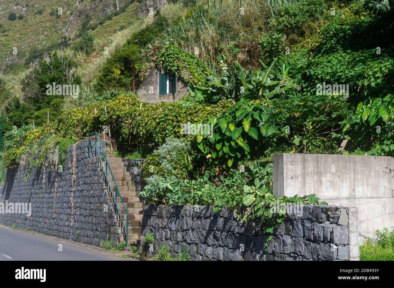 The house and stairs growed with grass at the escarpment Stock Photo ...