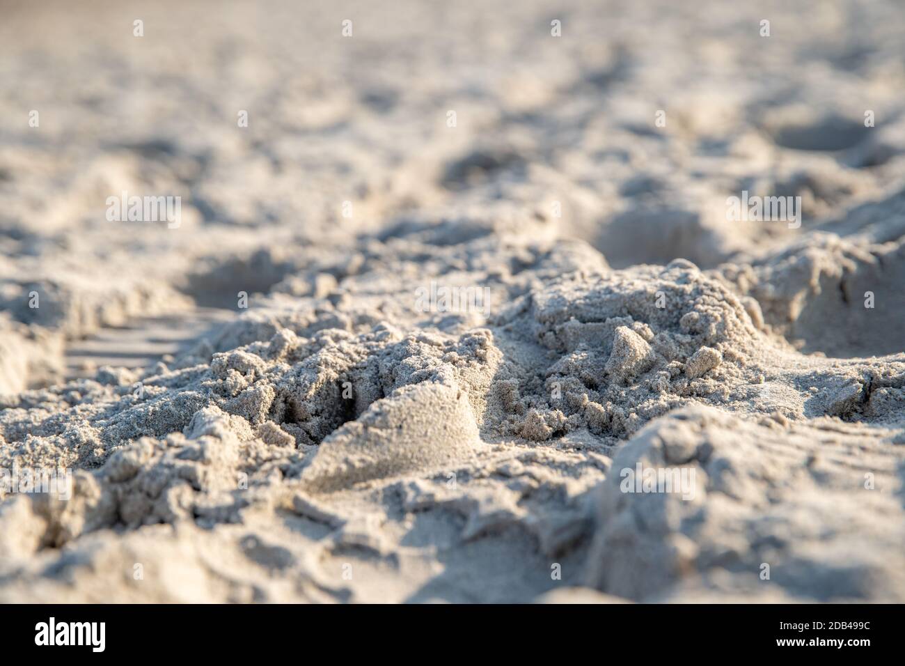 beach sand with print of shoes, legs and animal paws Stock Photo - Alamy