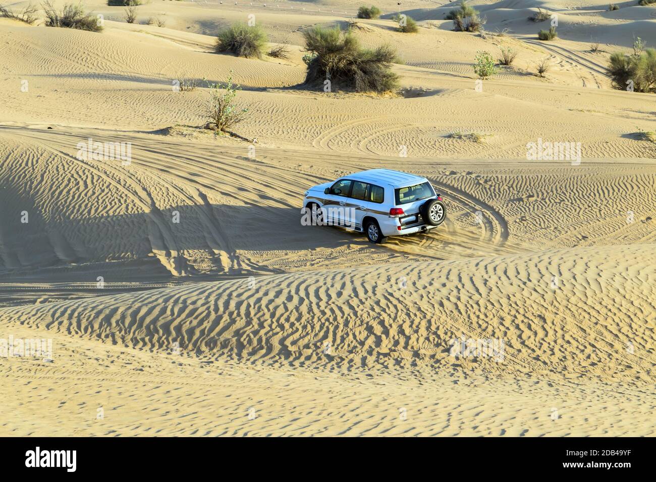 DUBAI, UNITED ARAB EMIRATES - JANUARY 25, 2016: Safari rally off-road ...