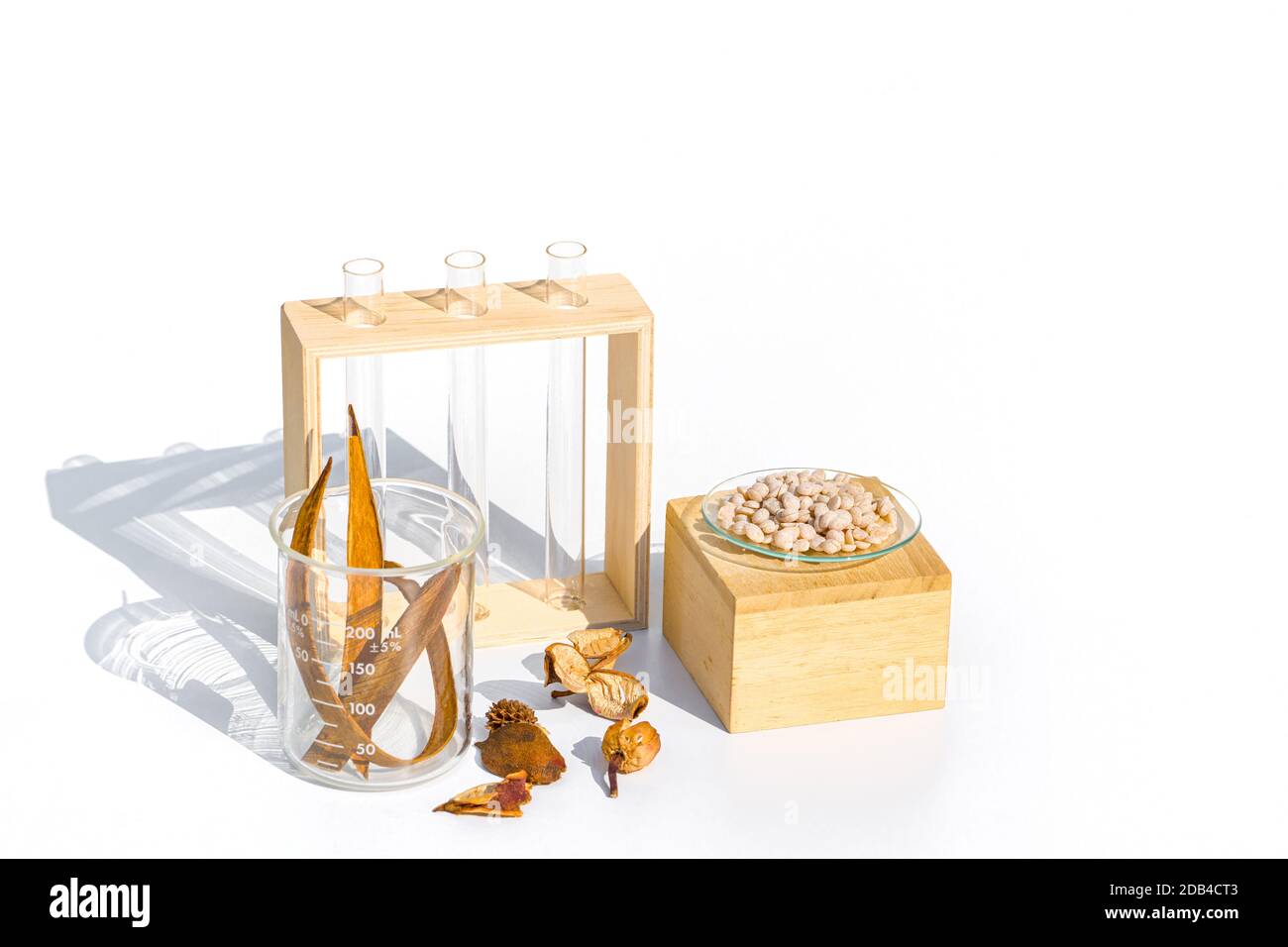 Chemicals for beauty care beautifully arranged in a white white ...