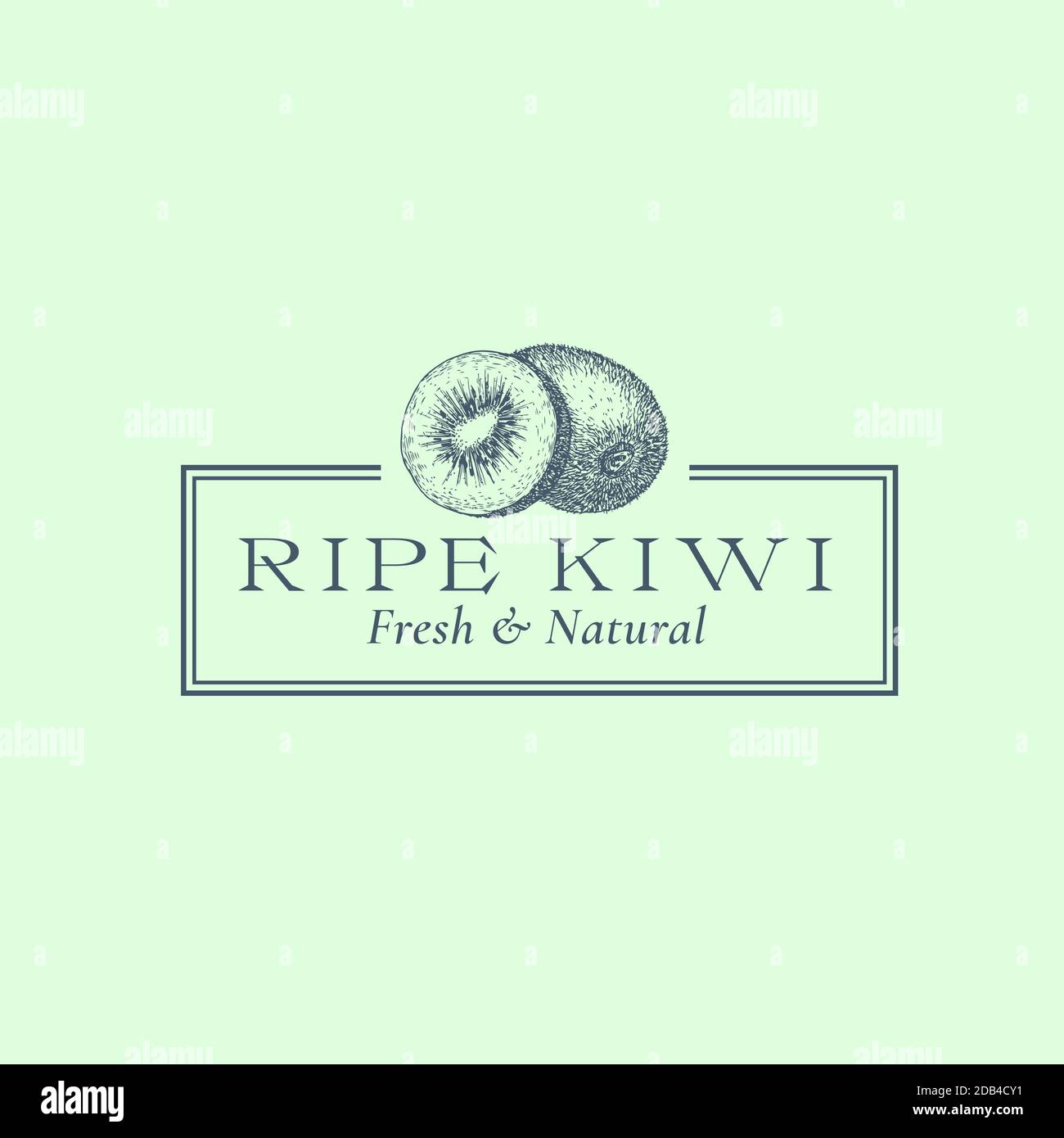 Kiwi Abstract Vector Sign, Symbol or Logo Template. Hand Drawn Fruit ...