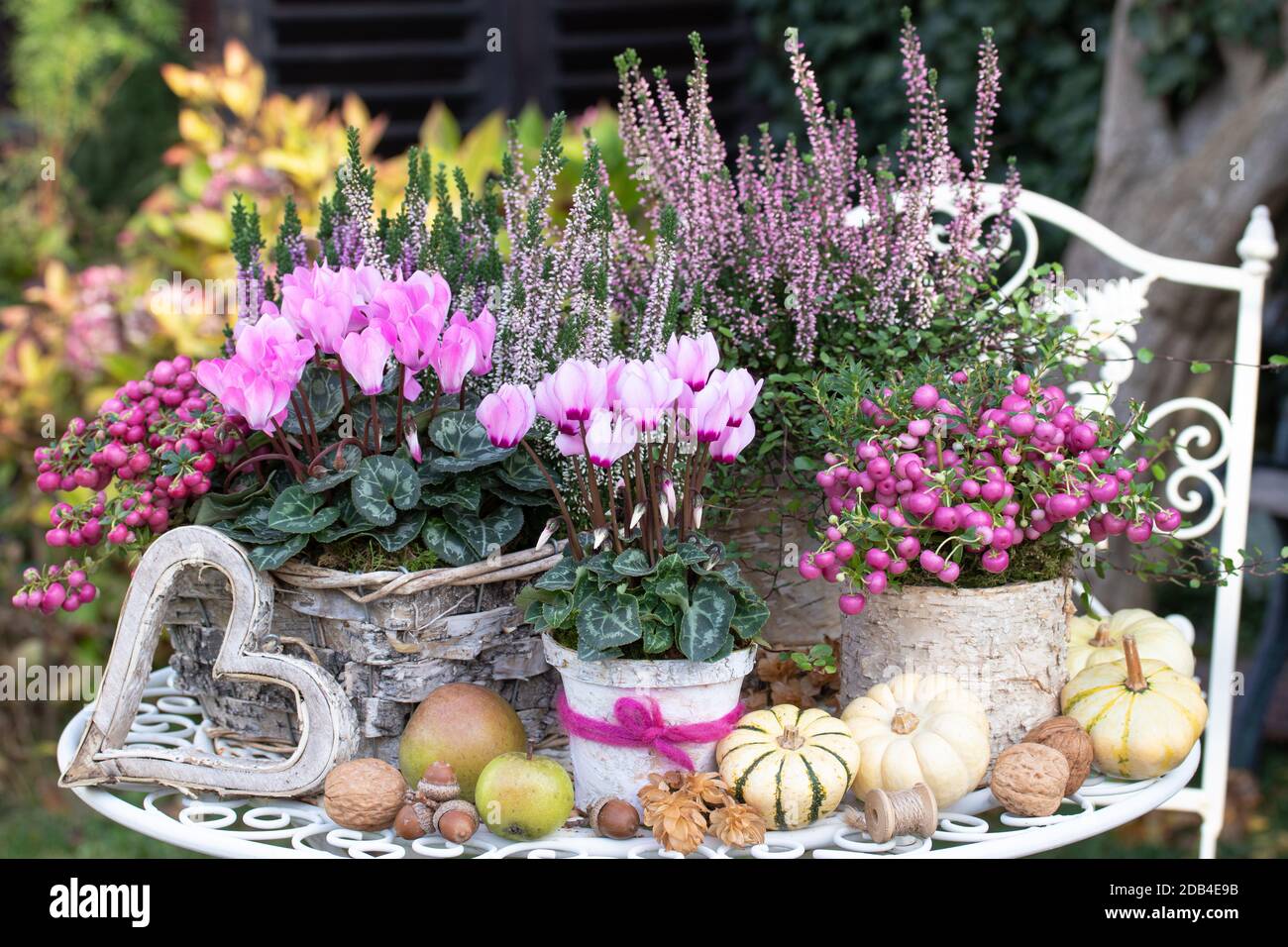 Heather table decoration hi-res stock photography and images - Alamy
