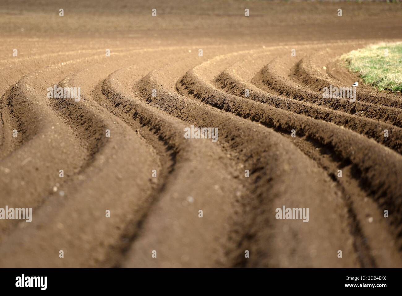 Furchen eines Ackers im Salzkammergut - Feld - Landwirtschaft - Furrows ...