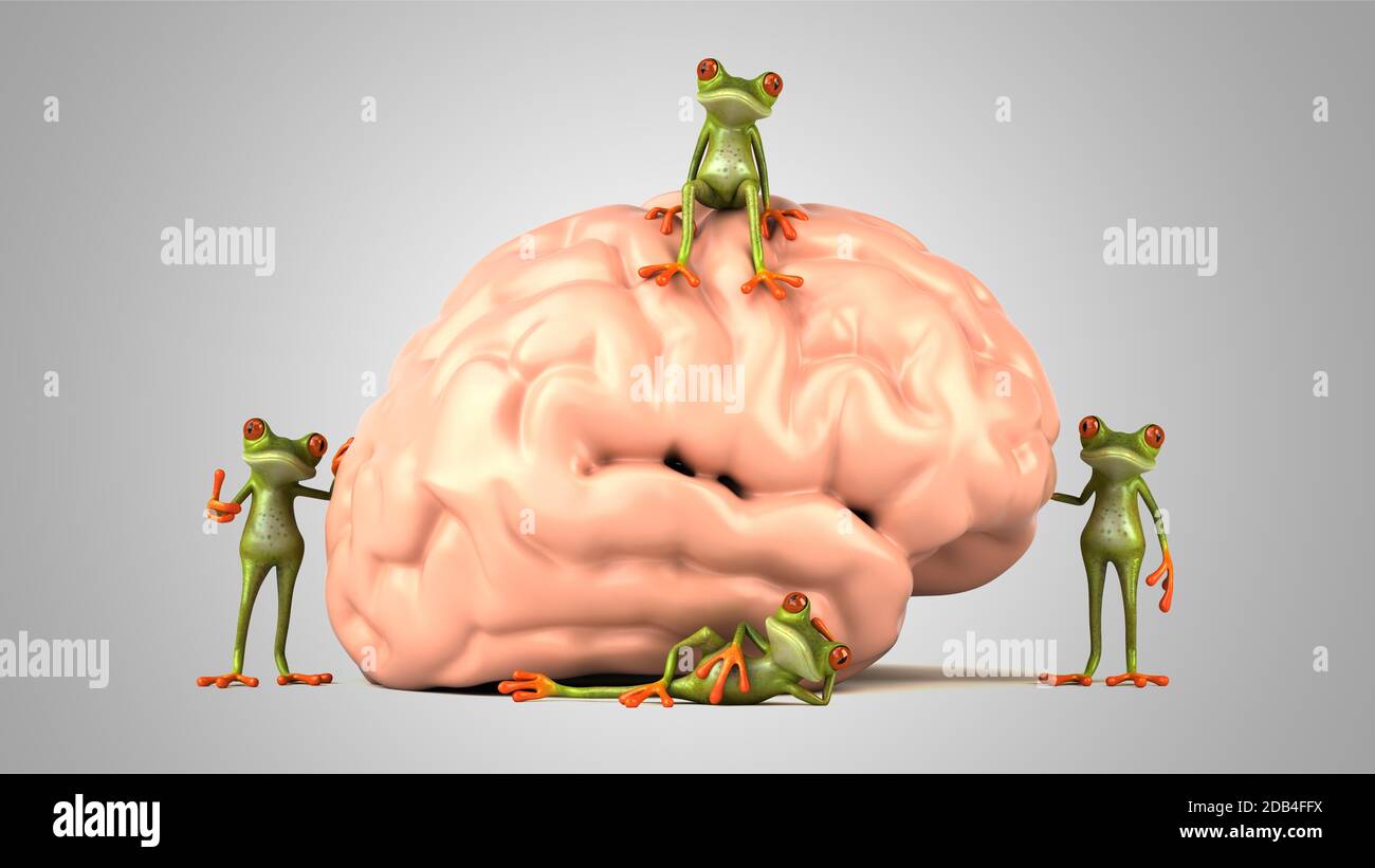 3D Illustration of green frogs next to a brain Stock Photo - Alamy