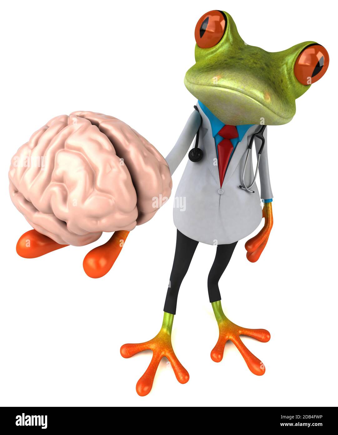 Frog doctor - 3D Illustration Stock Photo - Alamy