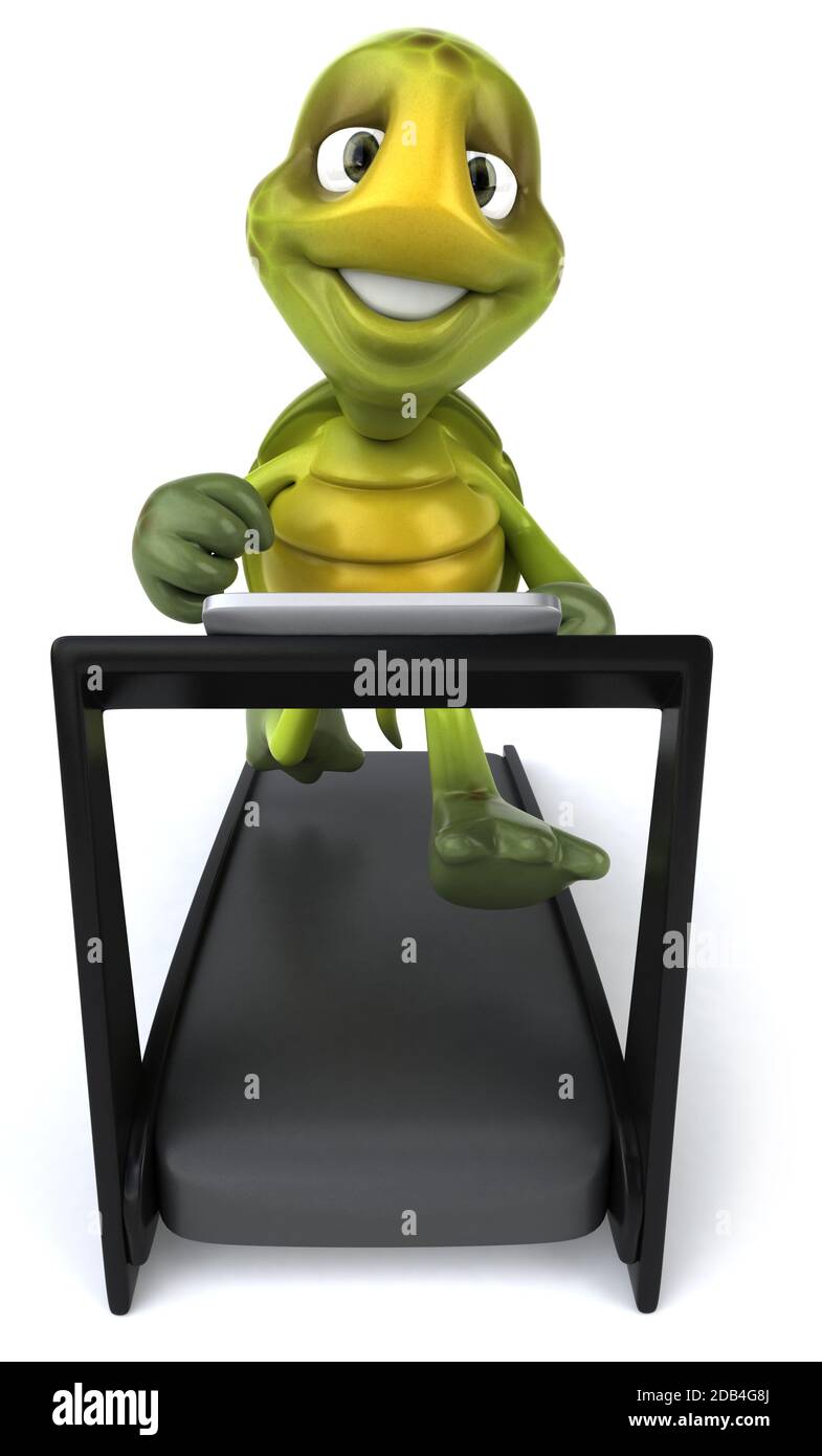 Turtle gym hi-res stock photography and images - Alamy