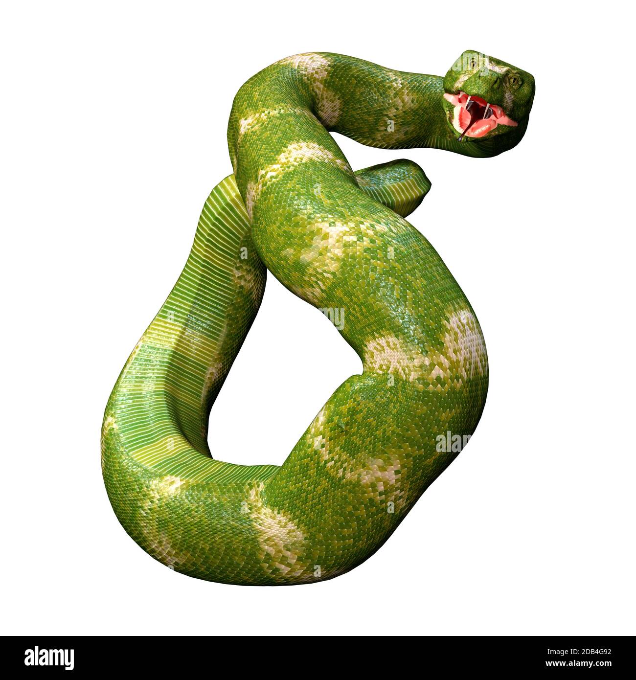 3D rendering of a green viper snake isolated on white background Stock ...