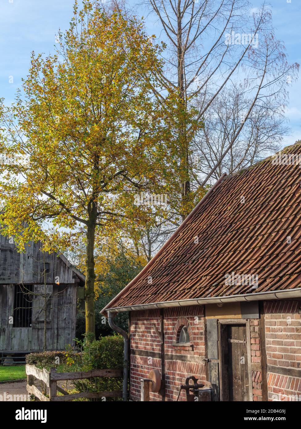autumn in the german muensterland Stock Photo - Alamy