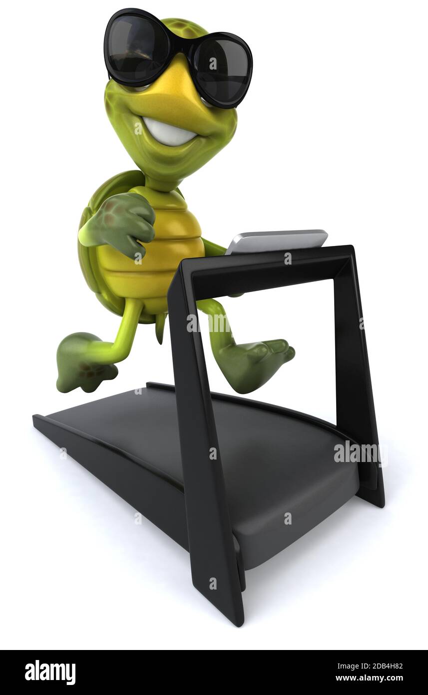 Turtle gym hi-res stock photography and images - Alamy