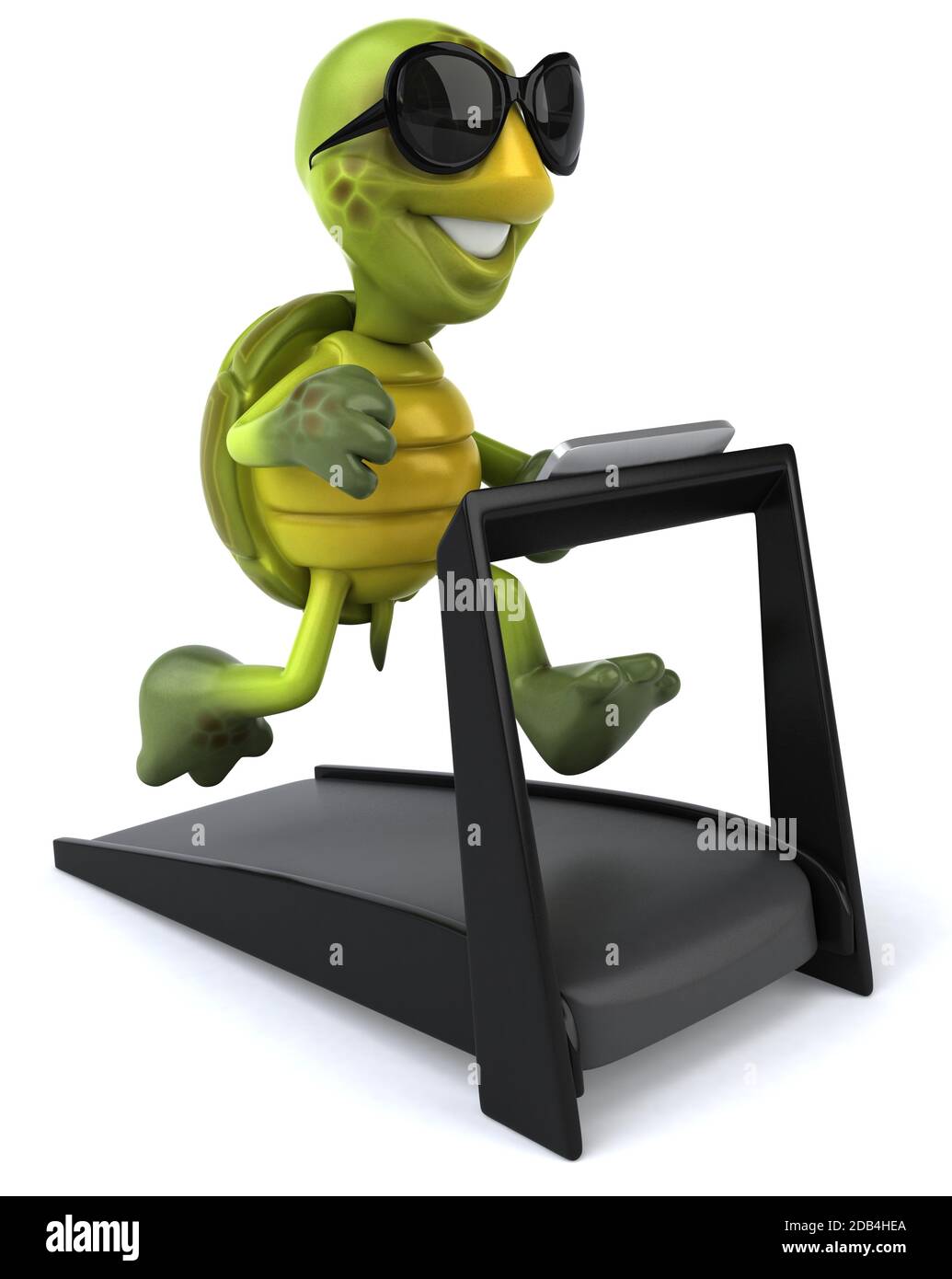 Turtle gym hi-res stock photography and images - Alamy