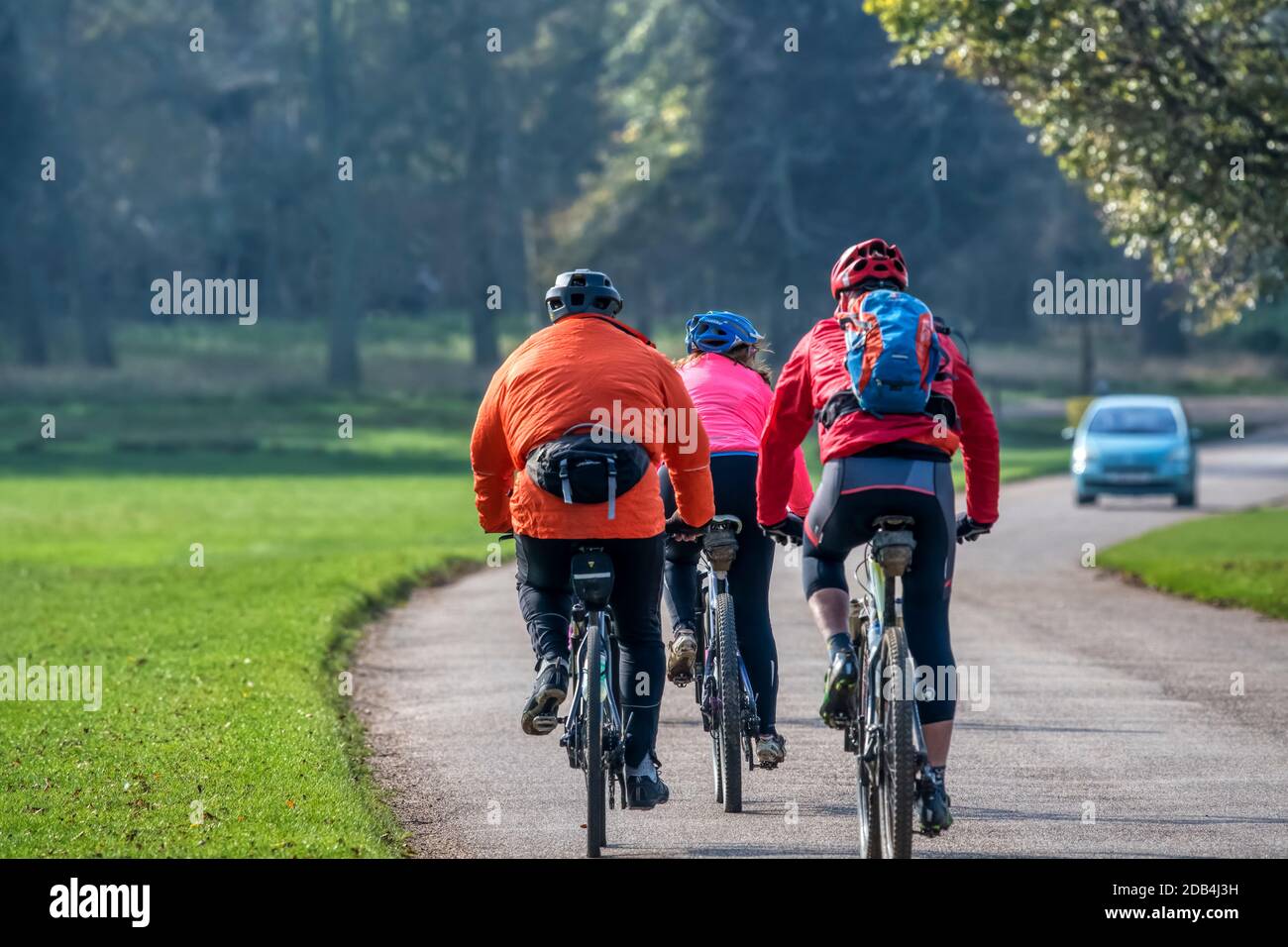 Cyclists riding through the deer park at Holkham Hall, North Norfolk ...